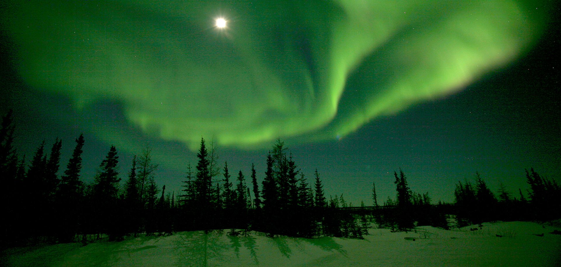 The North Star: Nature's Best Guide