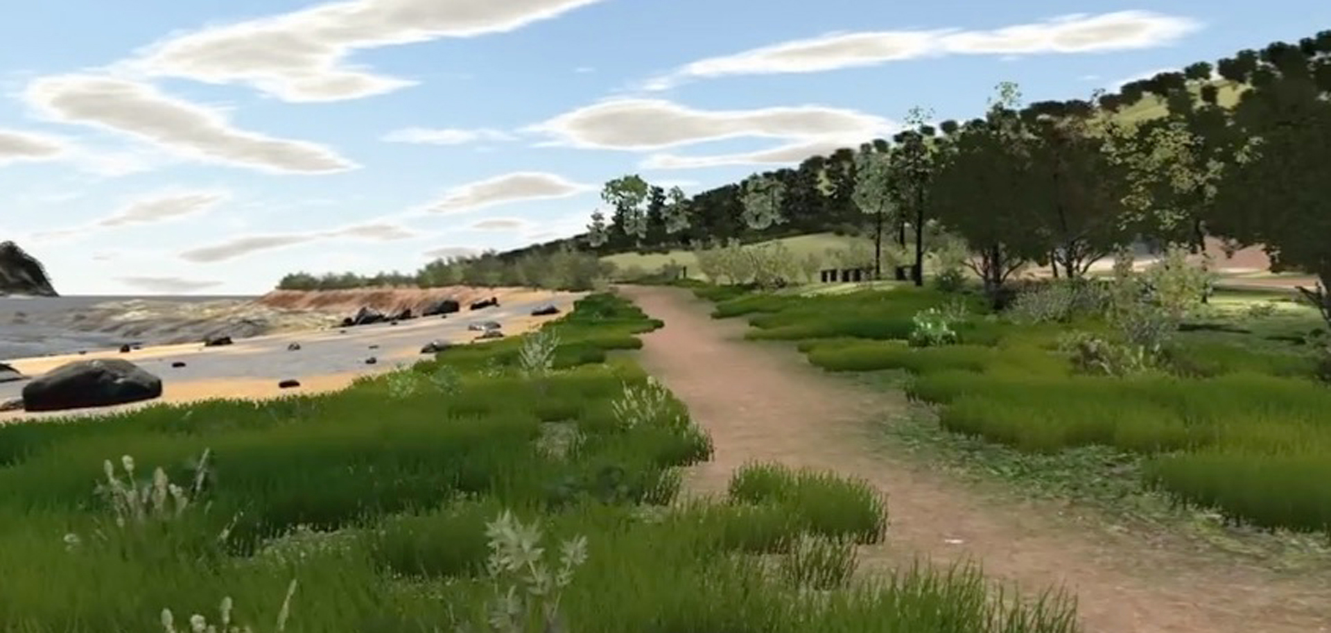 Video: Take a Virtual Nature Walk